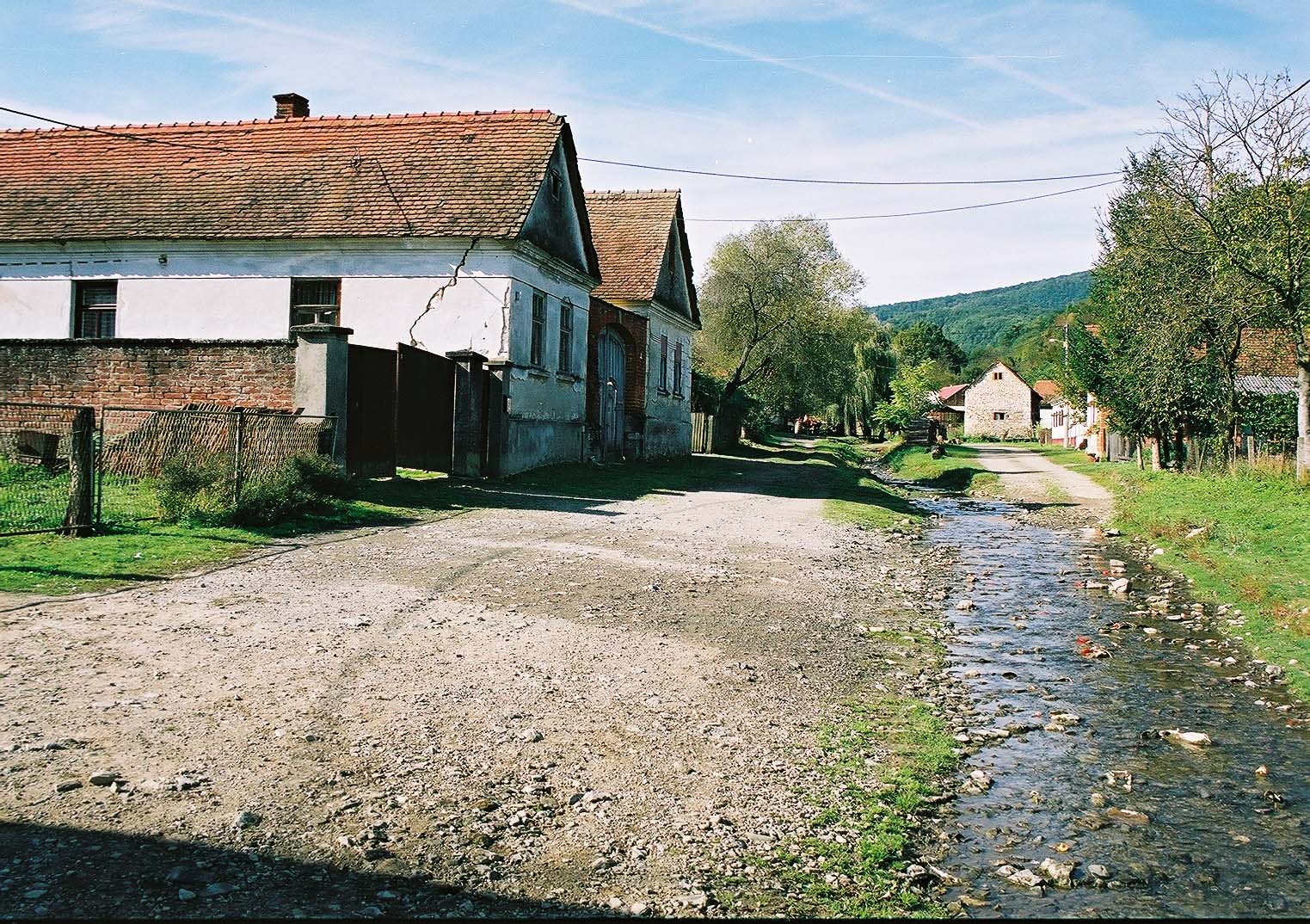 Tradiocionalna arhitektura - Brestovac
